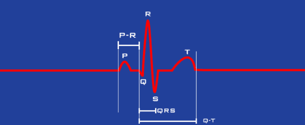 All About ECG Part 1: Introduction to the Electrocardiogram – MindWare ...